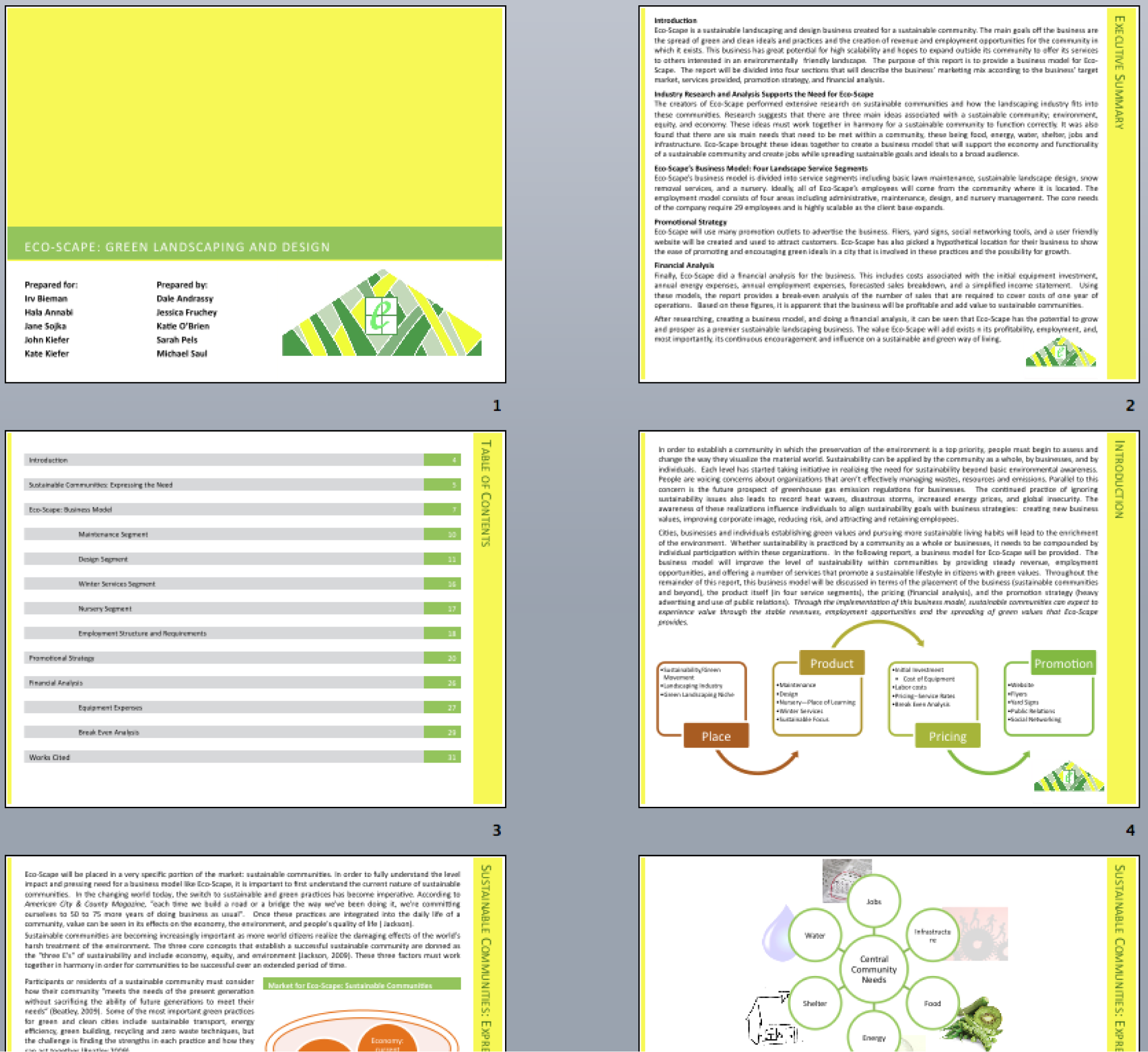 Template For The Report